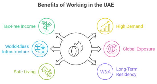 Fast-Track Hiring Options in the UAE for Skilled Professionals - Work ...